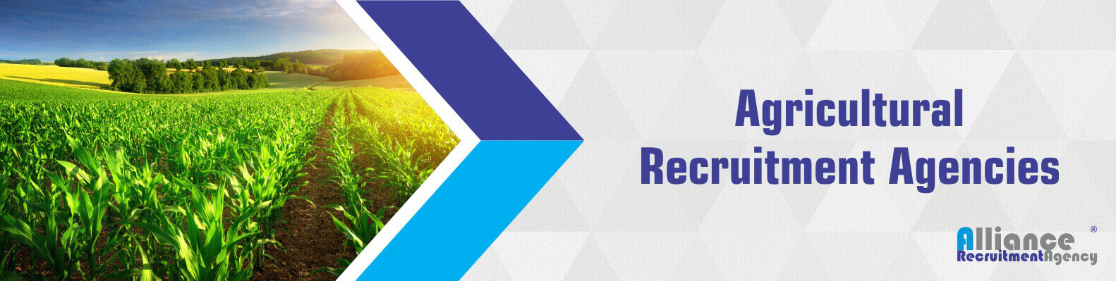 Agriculture Recruitment Agencies | Farming Recruitment Agencies